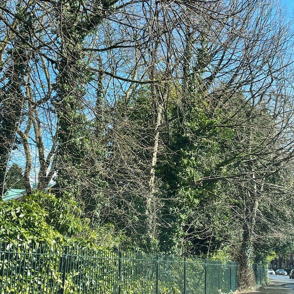 Photos at Oak House - College Residence Hall in Manchester, Greater ...