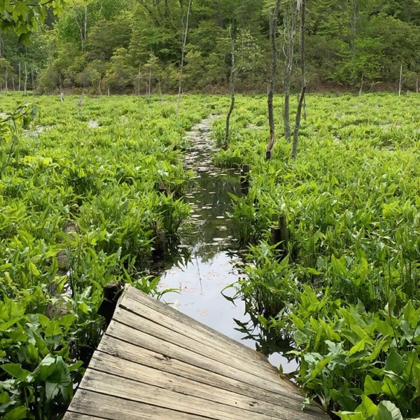 Photos at Cove Point Park - 3 tips