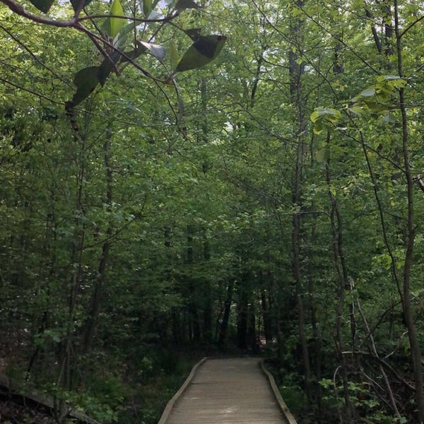 Photos at Cove Point Park - 3 tips