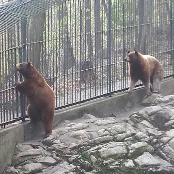 Photos at Bear Mountain Zoo and Trailsides Museum - 18 tips from 963 ...