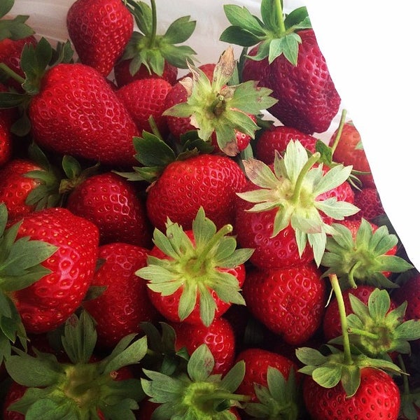 Elliott Farms - Lizella, GA