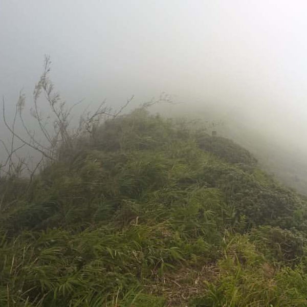 Mt Calavite Wildlife Sanctuary