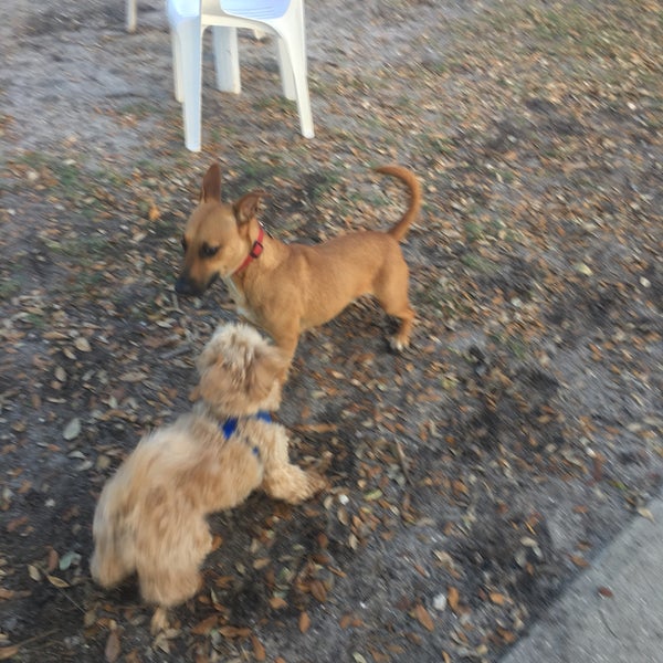 Satellite Beach Dog Park - Satellite Beach, FL