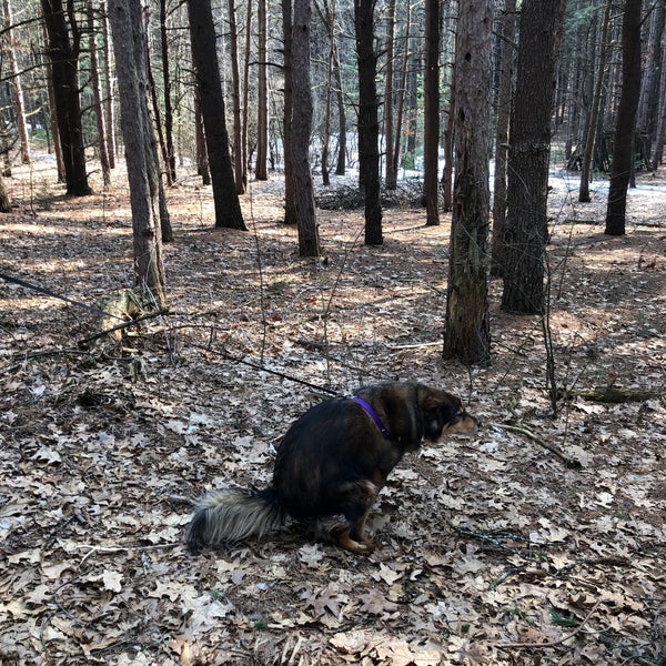 Provin Trails Park - 5 tips from 265 visitors