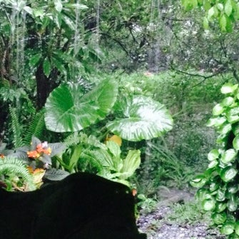 ธรรมชาติ