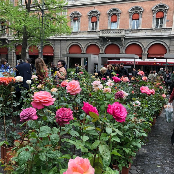 Piazza Minghetti - Plaza in Bologna
