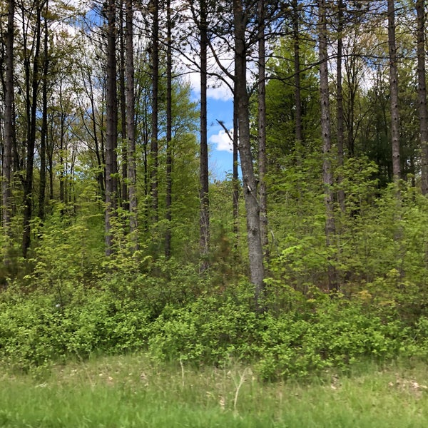 Manistee National Forest - 10 tips from 788 visitors