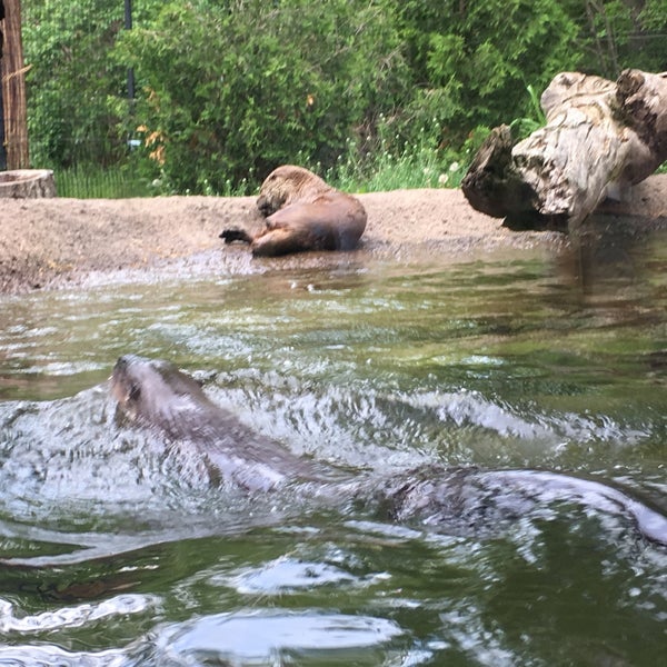 Potter Park Zoo - 36 tips