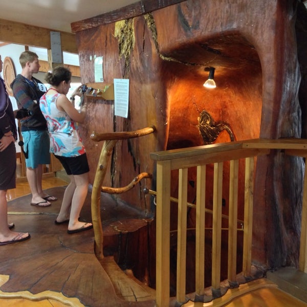 Ancient Kauri Kingdom - Awanui, Northland