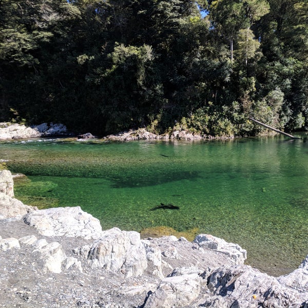 Pelorus River - 1 tip