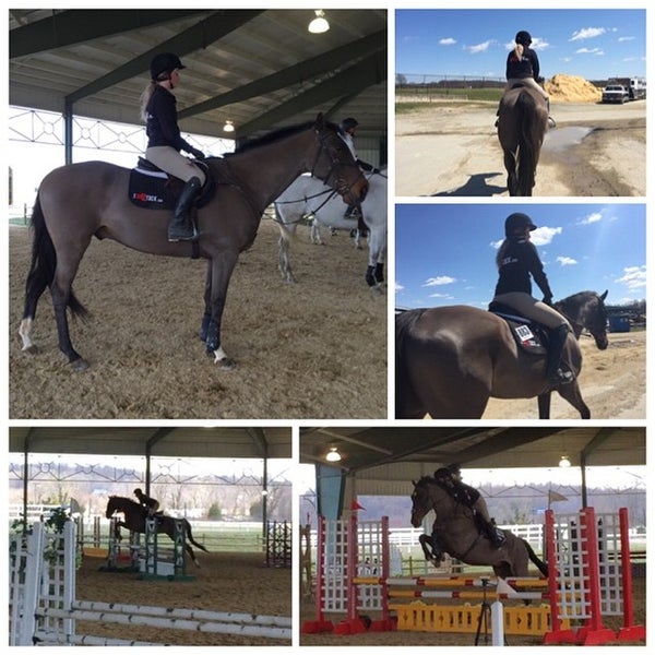 Photos at Prince George's Equestrian Center - Stadium in Upper Marlboro