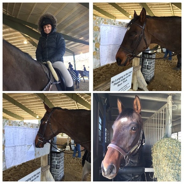 Photos at Prince George's Equestrian Center - Stadium in Upper Marlboro