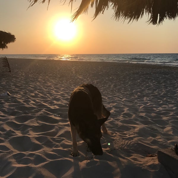 El Rowad Resort - Resort