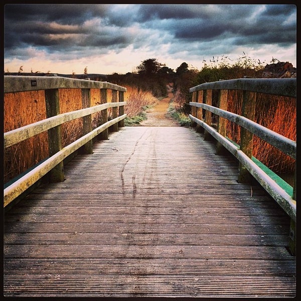 RSPB Radipole Lake - Lake