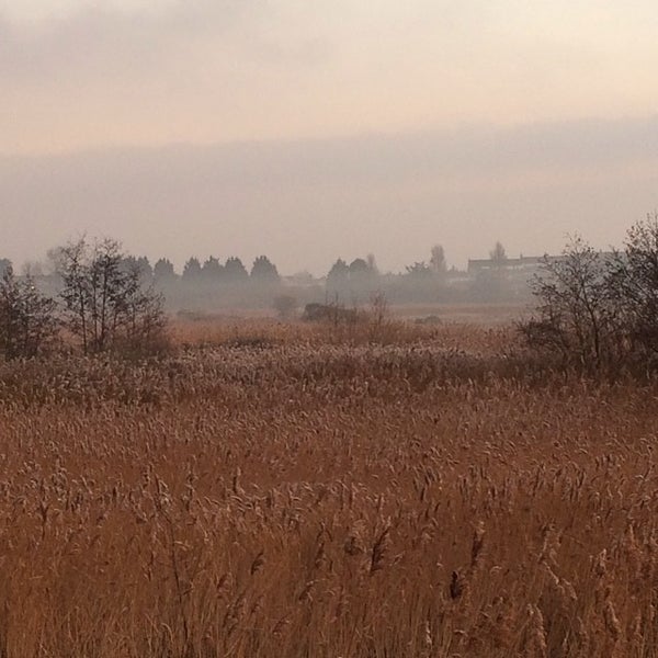 RSPB Radipole Lake - Lake