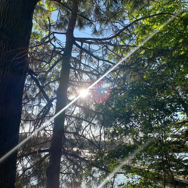 Sippo Lake Marina - 4 tips