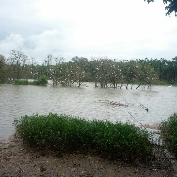 Mandagadde Bird Sanctuary - Shimoga, Karnātaka
