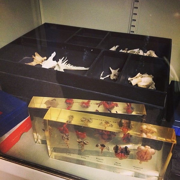 Archer Building - Beacon Hill - 41 Temple St