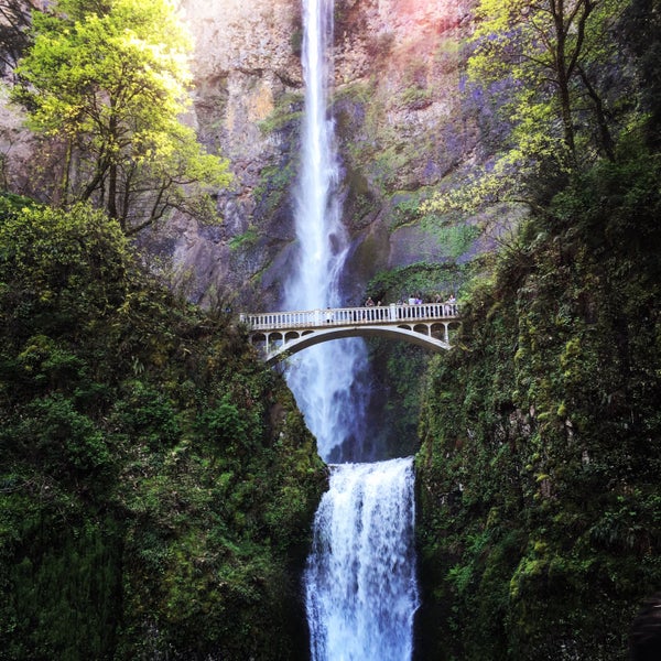Multnomah Falls - 186 tips from 21903 visitors
