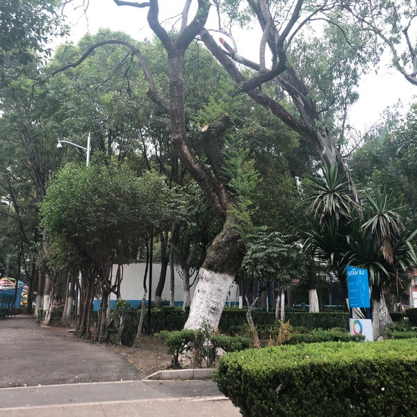 Photos at Parque Álamos (Xicotencatl) - Park in Álamos