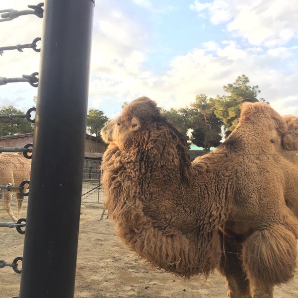 Photos at Tehran Zoo | باغ وحش تهران - منطقه ۵ - Eram Park