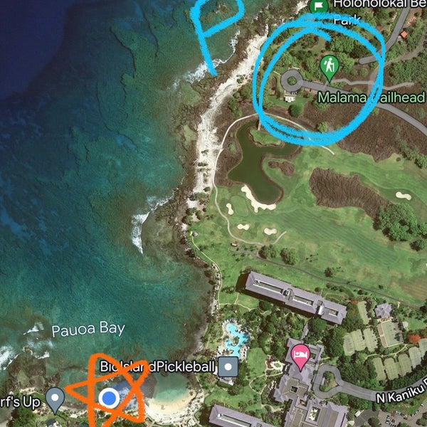 Pauoa Bay - 2 tips from 329 visitors