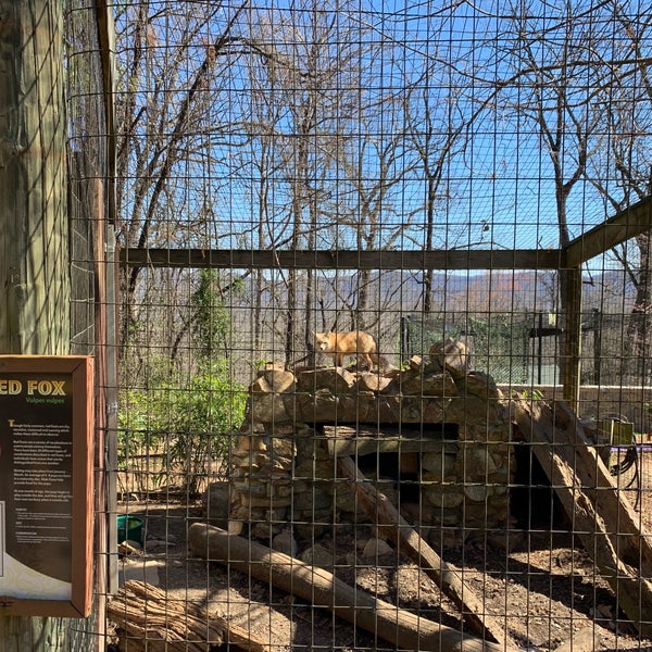 Mill Mountain Zoo - Exhibit in Roanoke