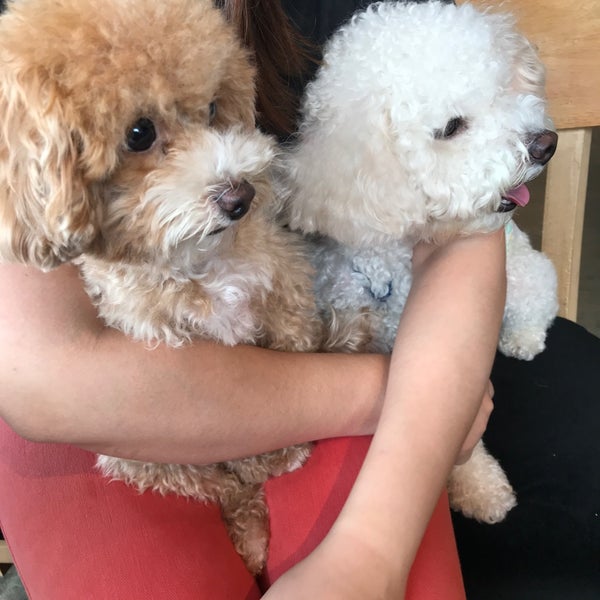 Bow Wow Cafe (Now Closed) - 1F-06, Kompleks Kenari