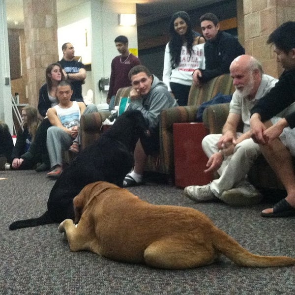 Spaulding Quadrangle - UB North Campus