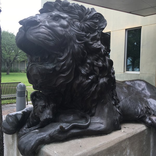 Photos at Windsor Park Branch, Austin Public Library - Windsor Park ...