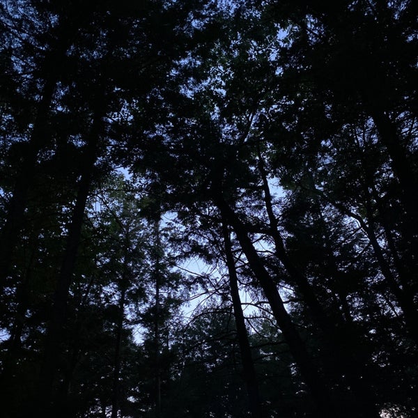 Fort Dummer State Park - Campground in Brattleboro