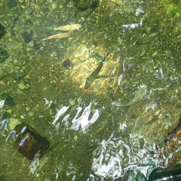 Blue Hole National Park - 2 tips