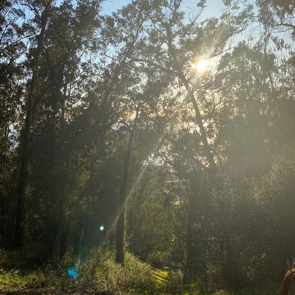 Albany Hill Park - Albany, CA