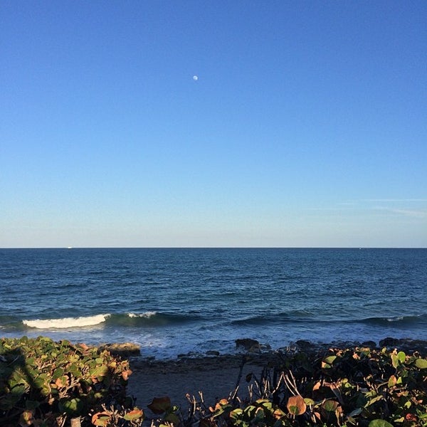 The Sandbar At Jupiter Beach - 1 tip