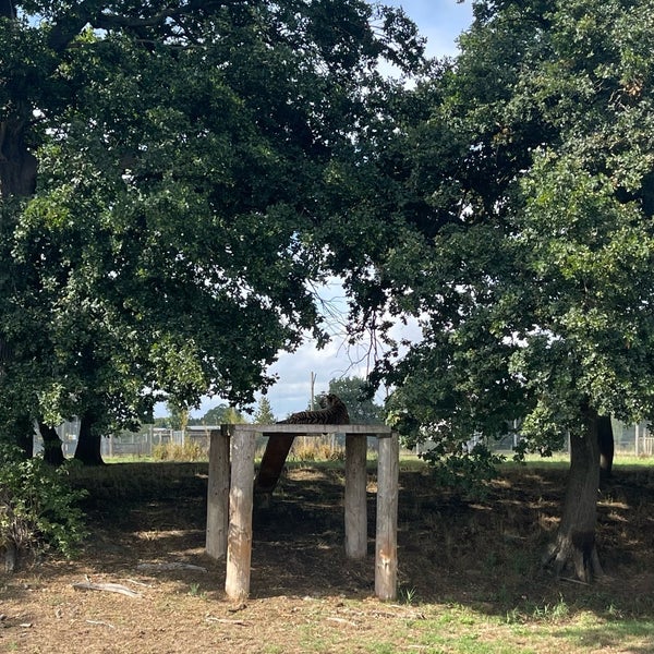 Yorkshire Wildlife Park - Zoo in Doncaster
