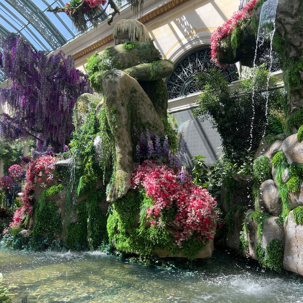 Bellagio Race And Sports Book - 8 tips from 1944 visitors