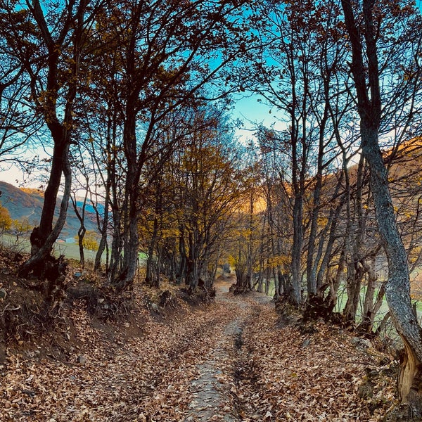 Arasbaran Uskulu Forests | جنگلهای ارسبارن روستای اسکلو - Kaleybar ...