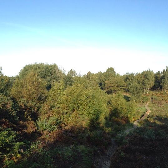 Silchester Common - Silchester, Hampshire