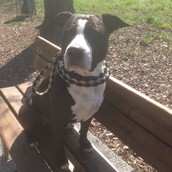 Parco Catene - Via dei Tigli