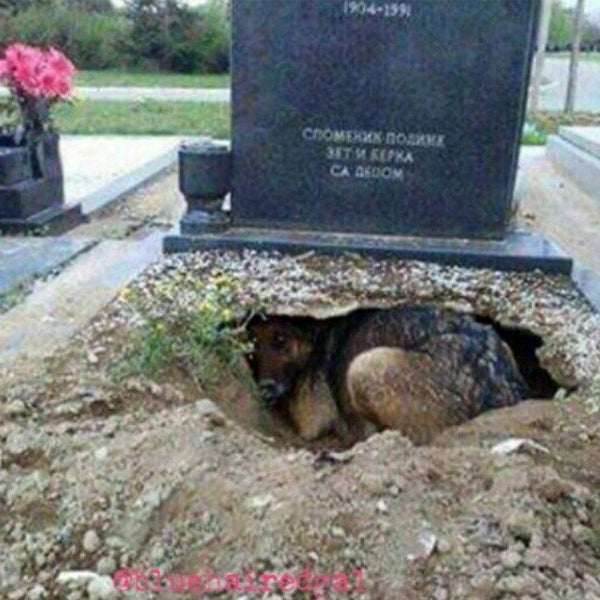 East 174th Street Bridge - Road in Bronx River