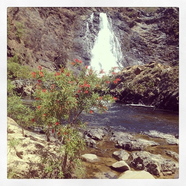 Bloomfield River - River