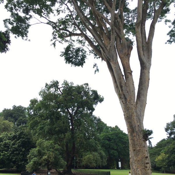 Heritage Trees Trail