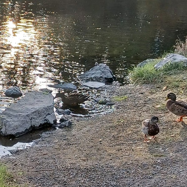 Titlow Park - West End - Tacoma, WA