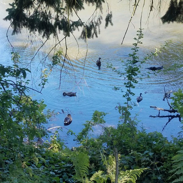 Titlow Park - West End - Tacoma, WA