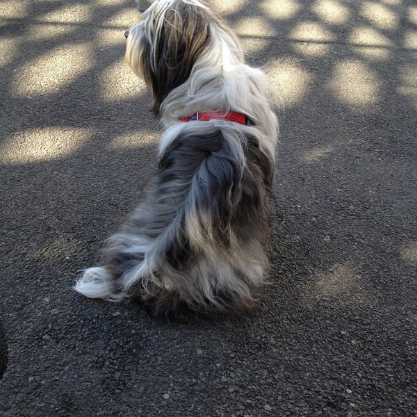 Sirius Dog Run - Battery Park City - New York, NY