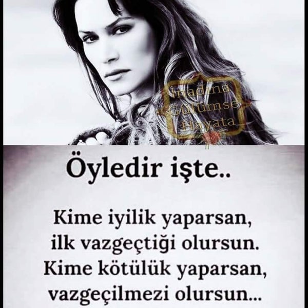 't Zuid - Zuid - Antwerpen, Provincie Antwerpen