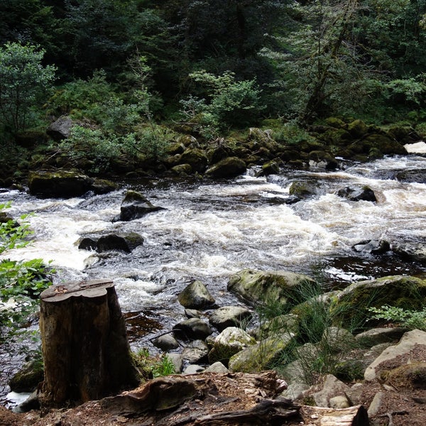 The Hermitage - Scenic Lookout in Dunkeld