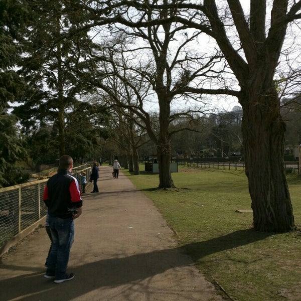 Photos at Beale Wildlife Park - Zoo in Lower Basildon