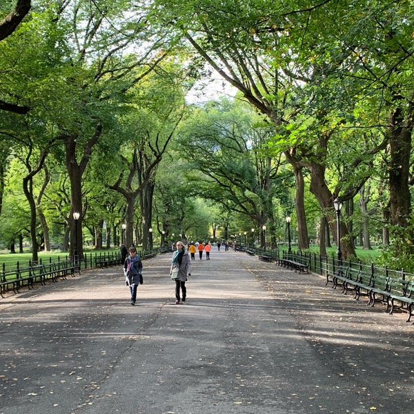 Central Park Summer Walkway