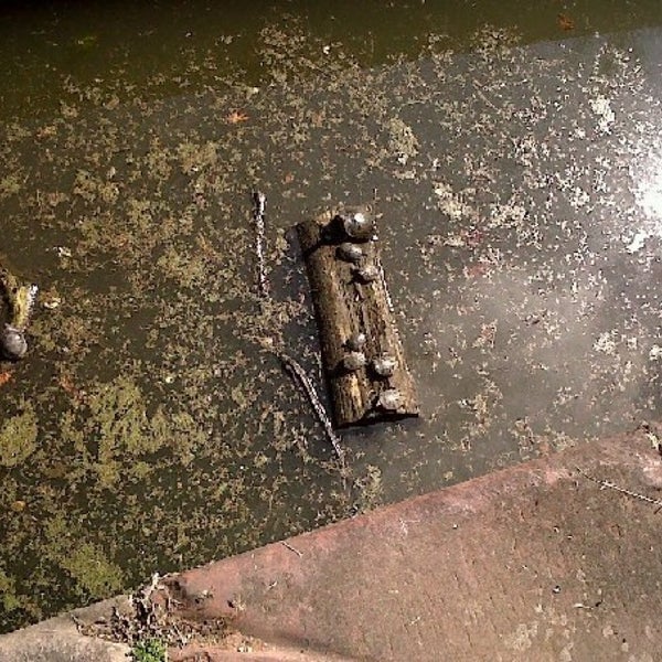 Photos at Violette's Lock (Lock #23) - Chesapeake & Ohio Canal National ...